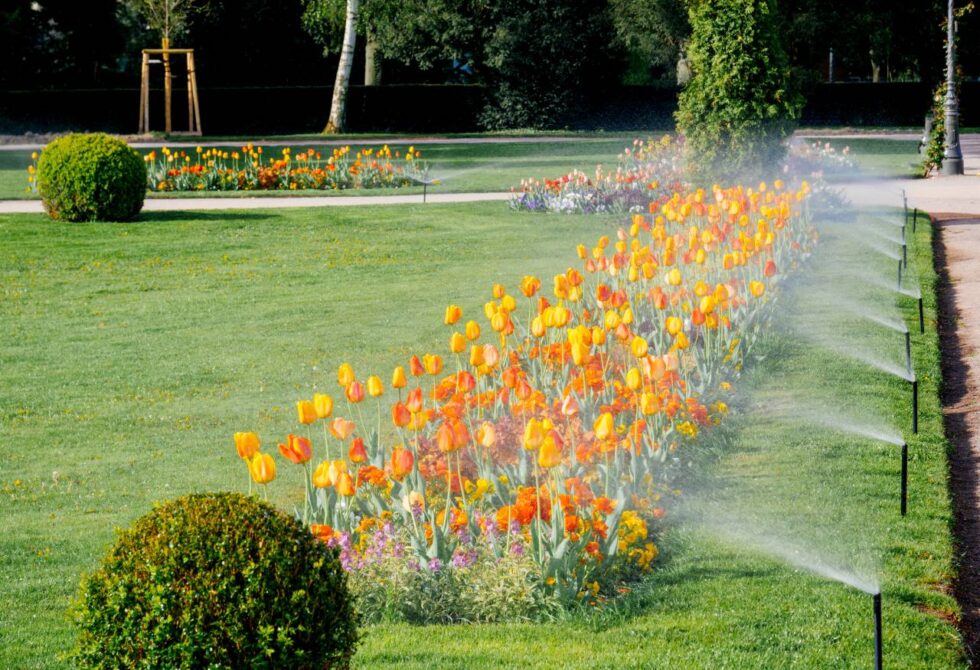 Irrigation Systems - Catalina Landscape